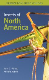 Insects of North America - John C. Abbott|Kendra Abbott
